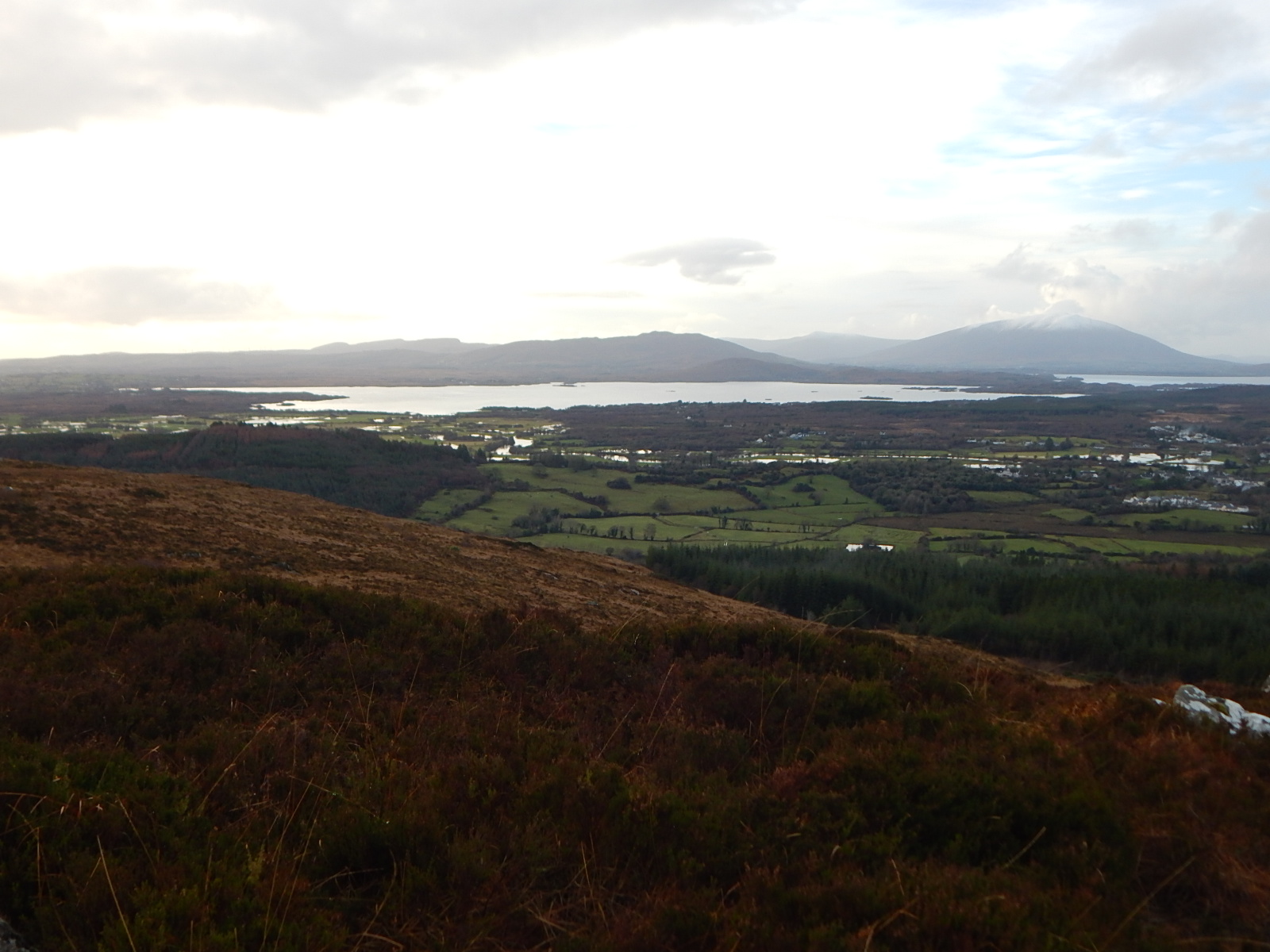 Friday 20/01/2023 A few pics – Tiernan Brothers