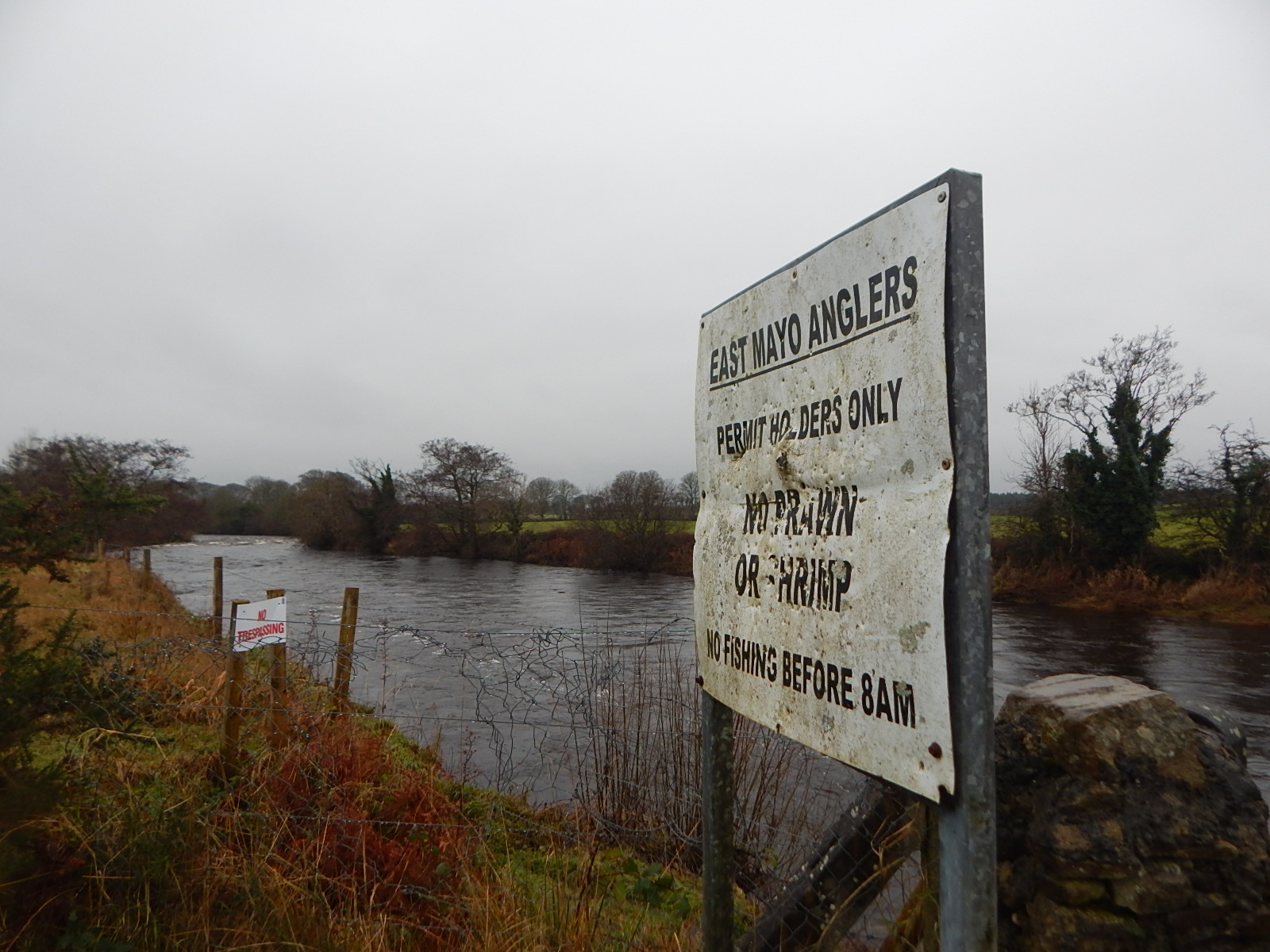 Friday 20/01/2023 A few pics – Tiernan Brothers