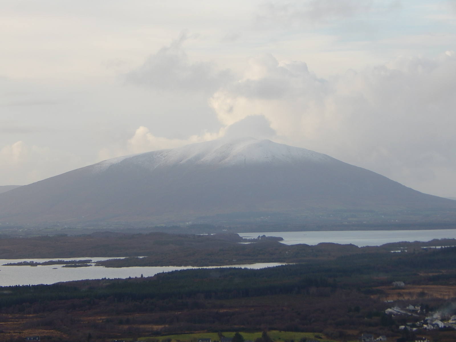 Friday 20/01/2023 A few pics – Tiernan Brothers