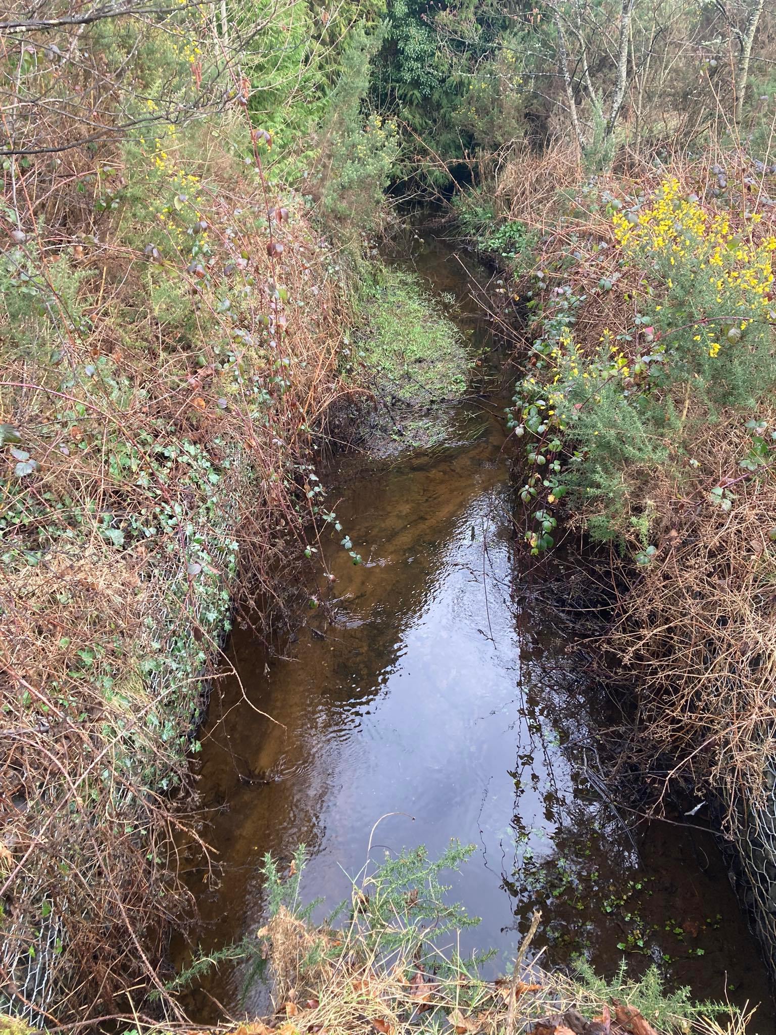 Friday 17/02/2023 A river without a name runs through it – Tiernan Brothers