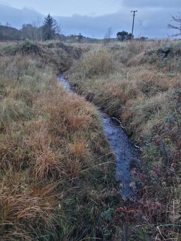 Friday 24/11/2023 The trout are spawning – Tiernan Brothers