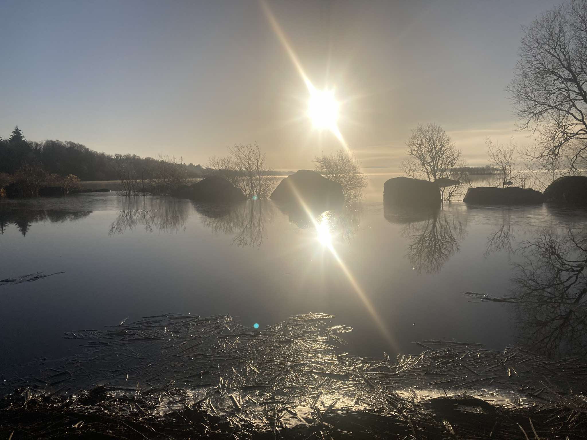 Friday 20/12/2024 Christmas = Stress – Tiernan Brothers